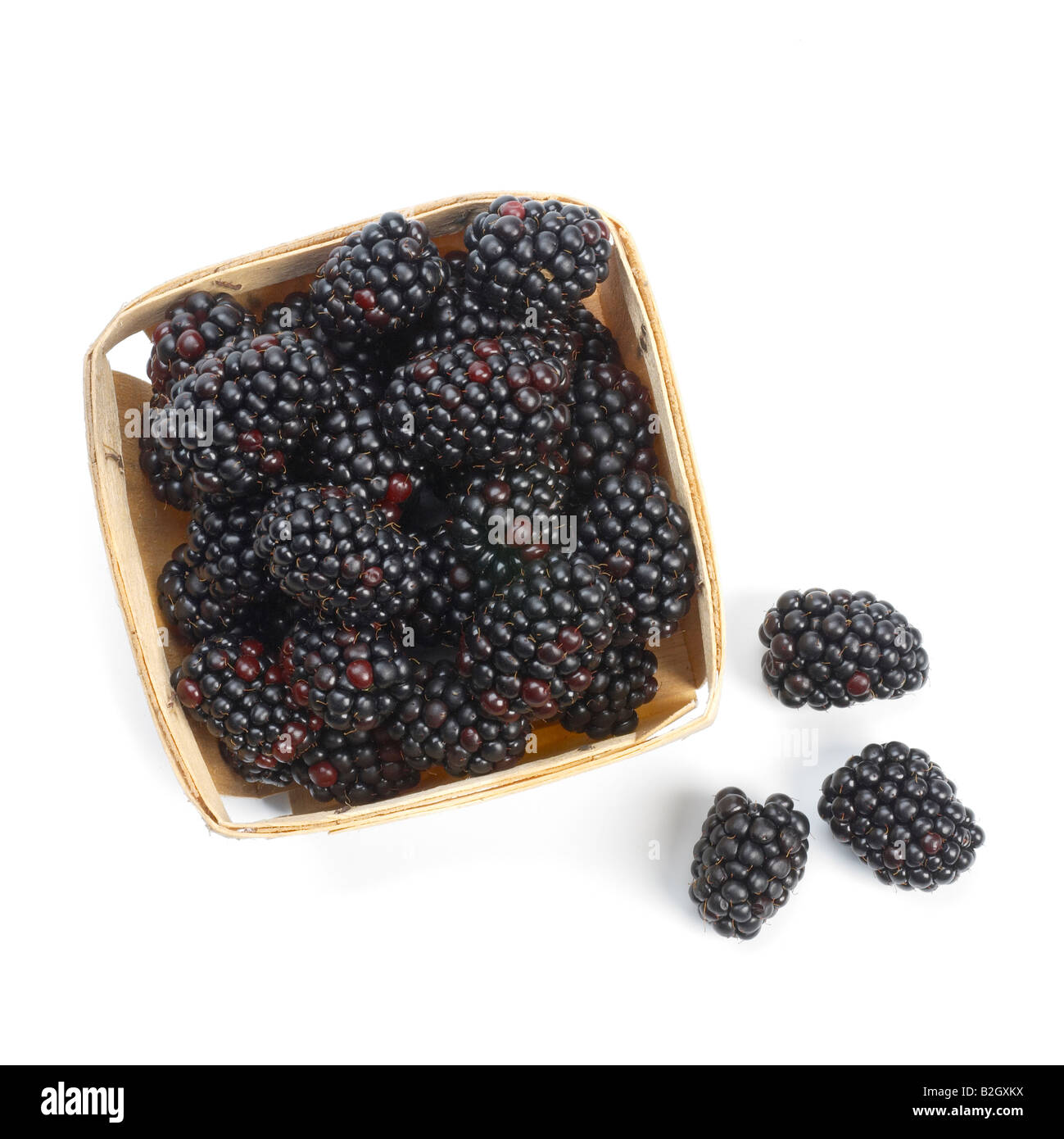 Punnet of blackberries hi-res stock photography and images - Alamy