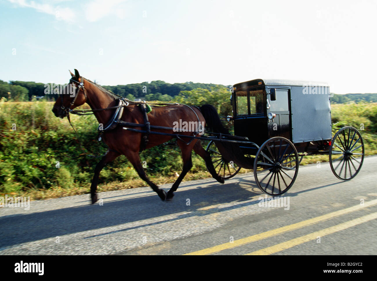 Horse drawn carriage transportation hi-res stock photography and images ...