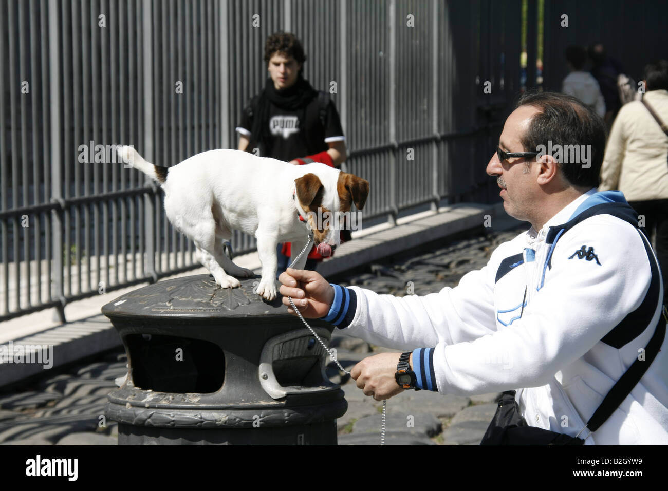 Italian person walking dog hi-res stock photography and images - Alamy
