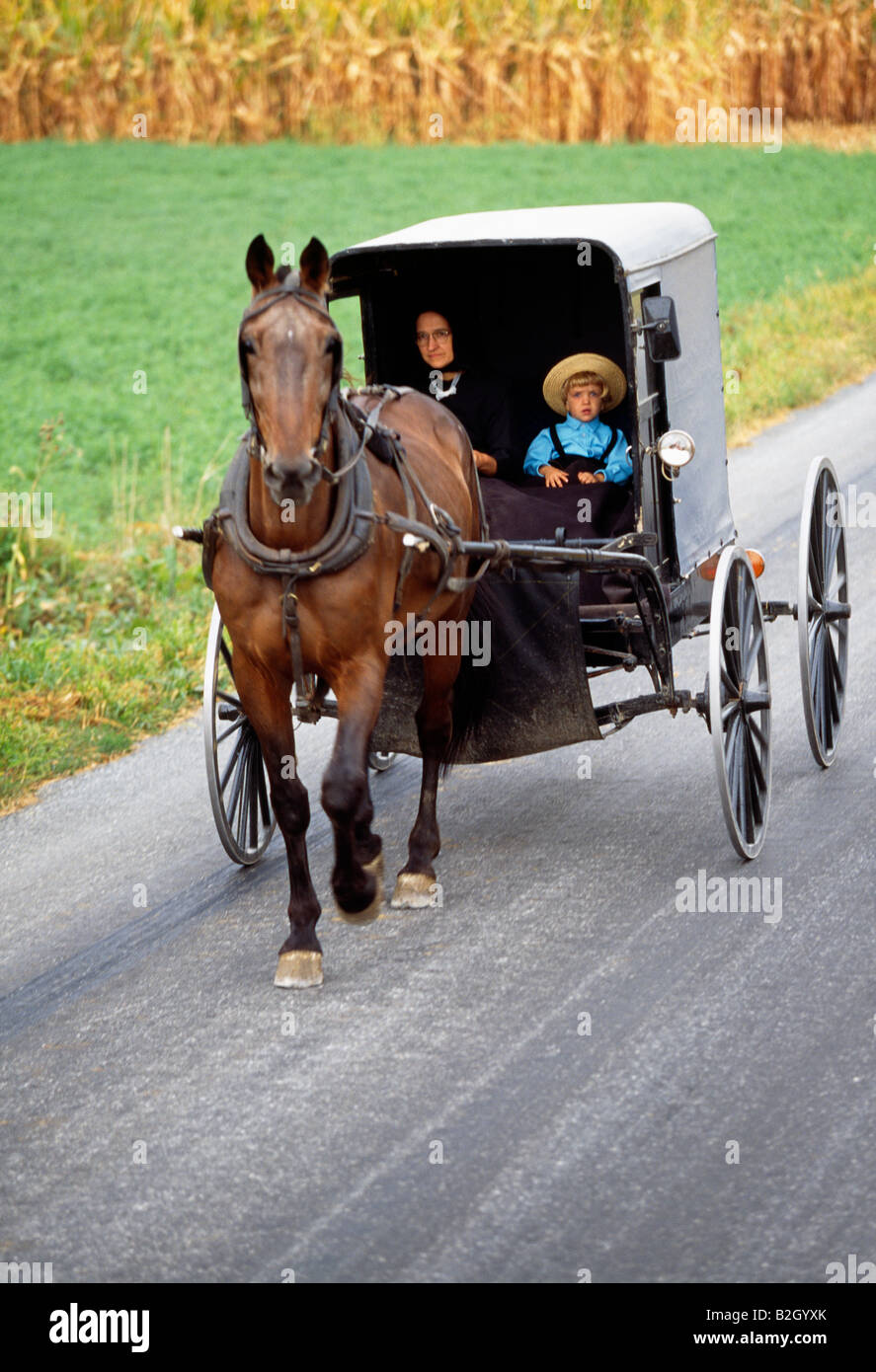 The Amish, or Plain People, in Pennsylvania's Lancaster County, still ...