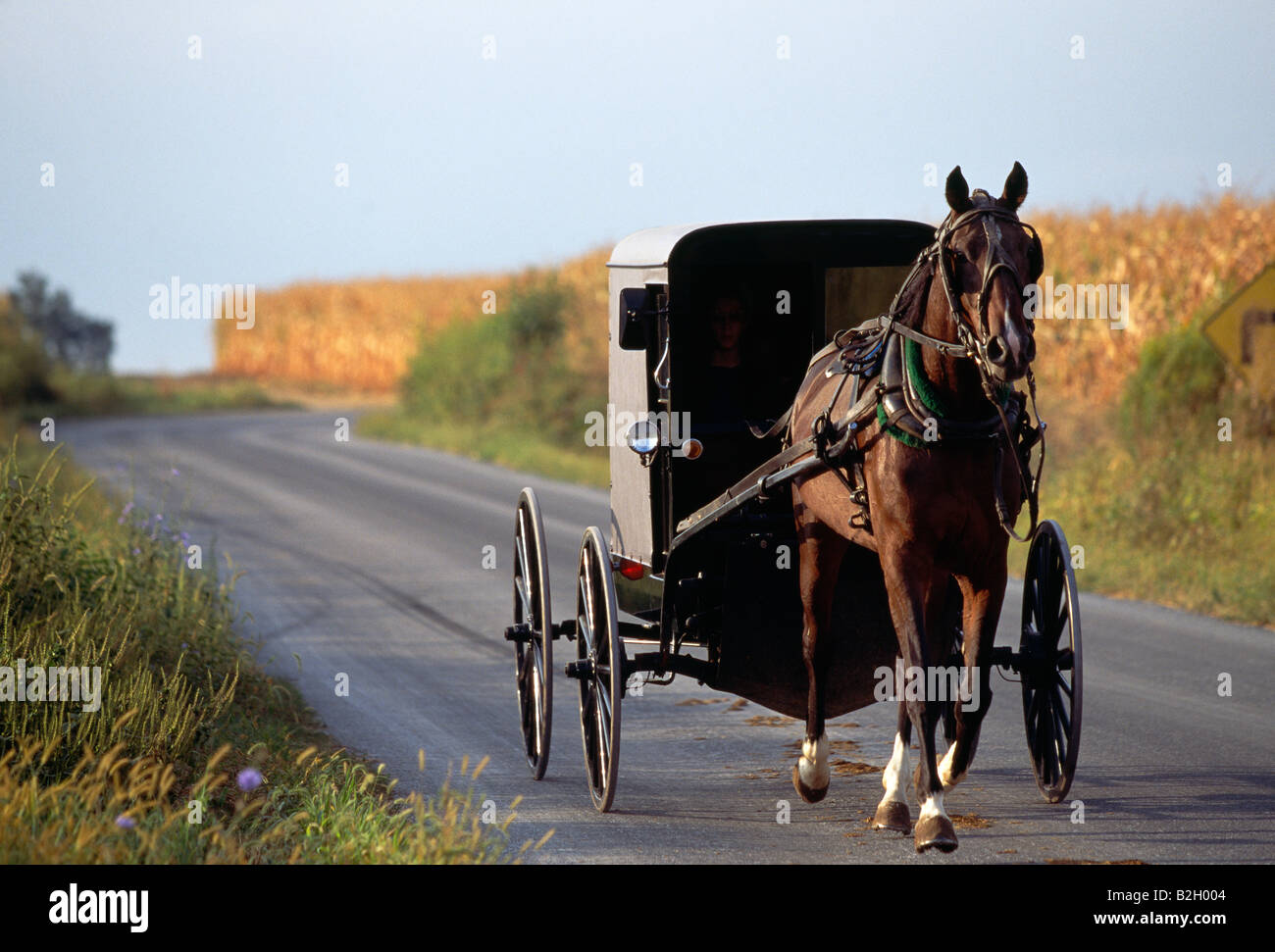 Usa people rural hi-res stock photography and images - Alamy