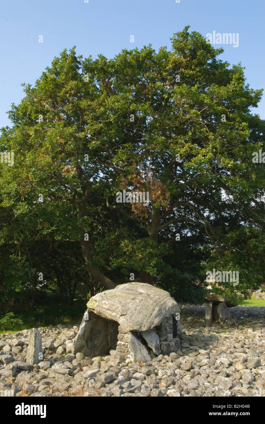 Double burial chamber wales hi-res stock photography and images - Alamy