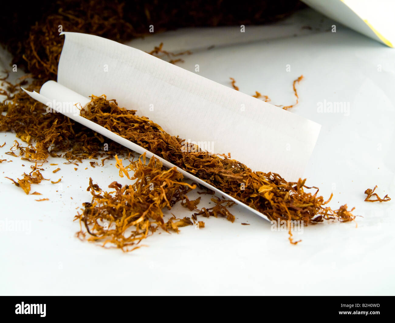 Hand Rolling Tobacco and Hand Rolled Cagarettes on White Background ...