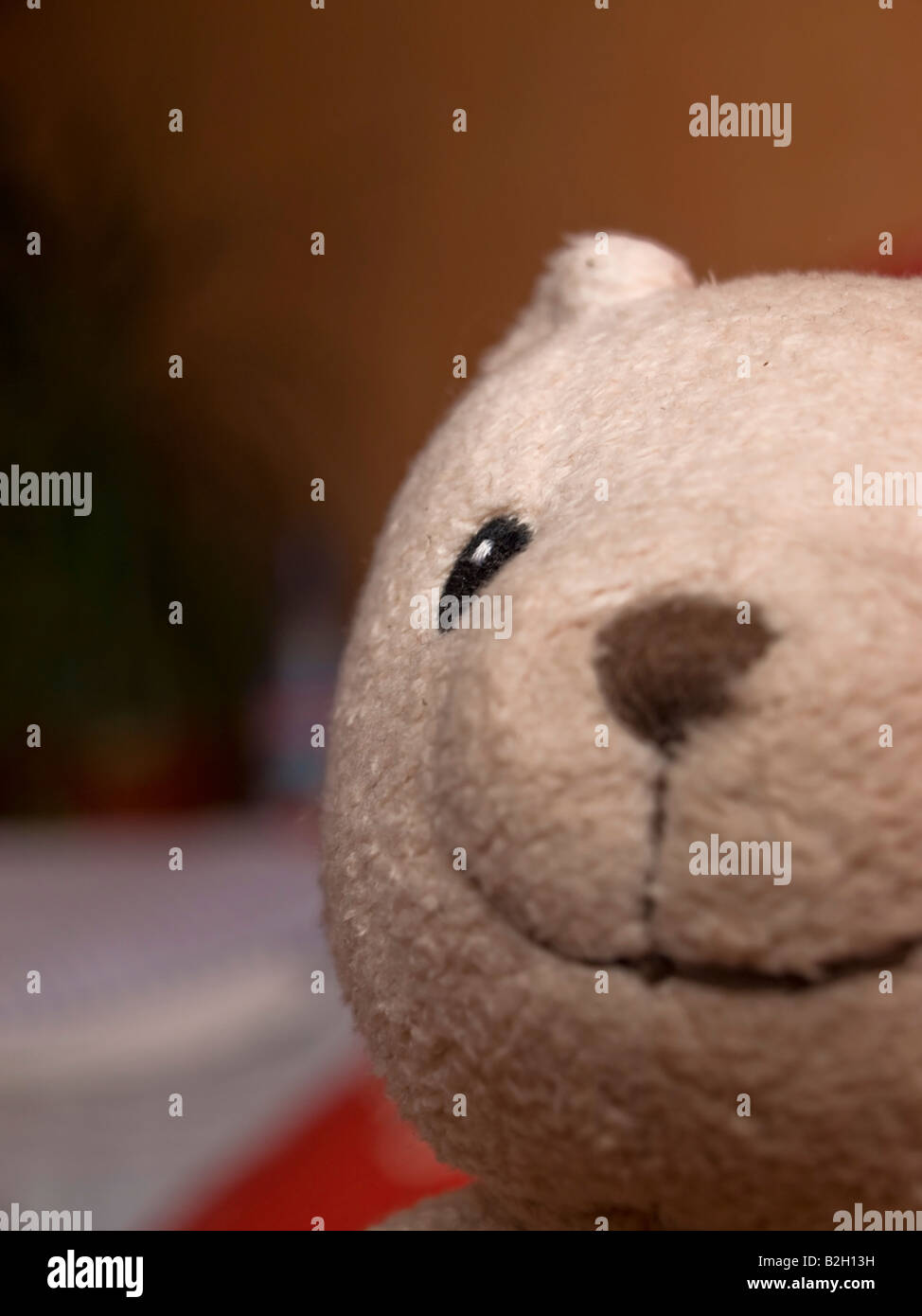 Teddy Bear Closeup Stock Photo - Alamy