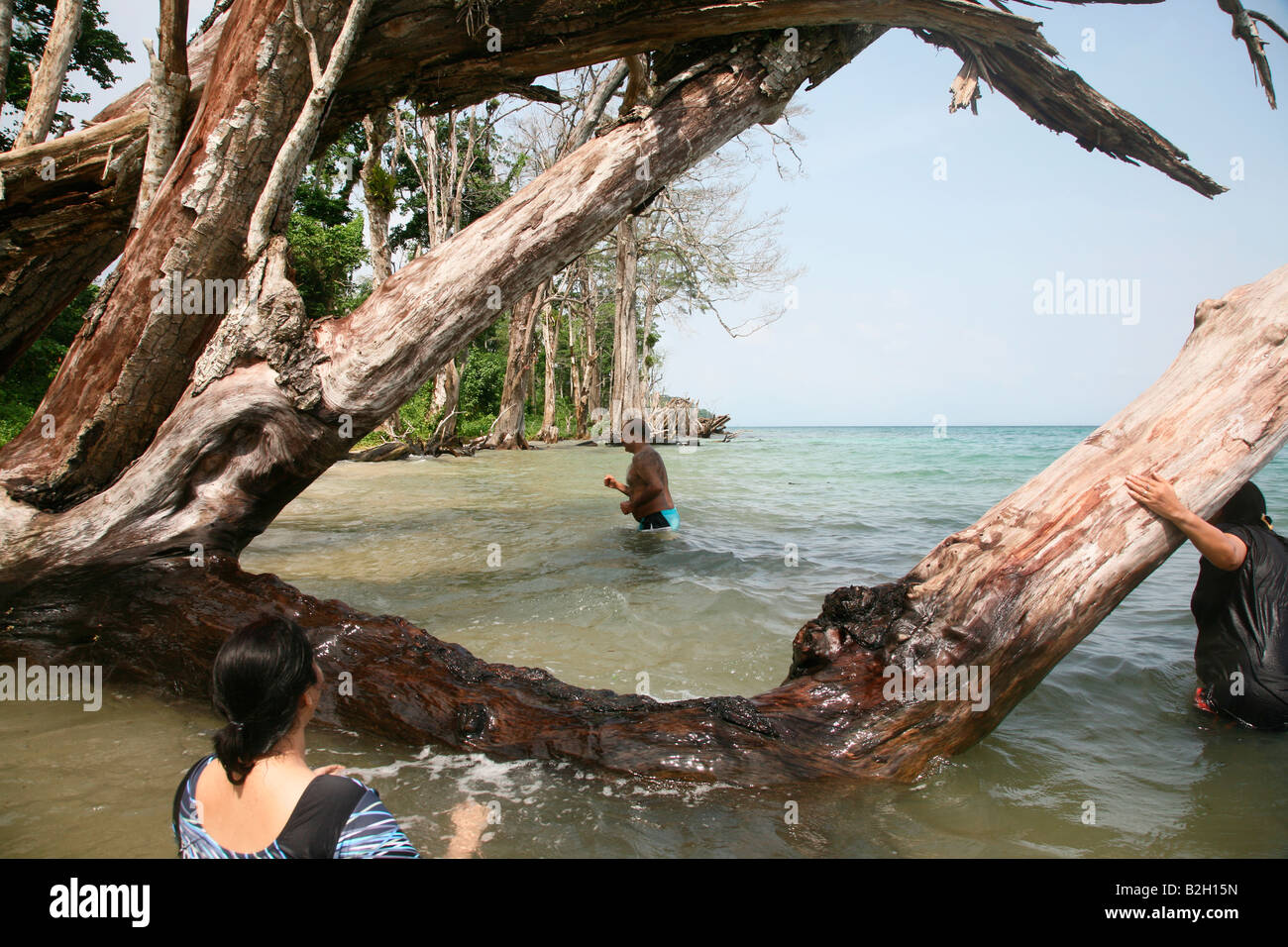 Havelock island beach,andaman,India Stock Photo - Alamy