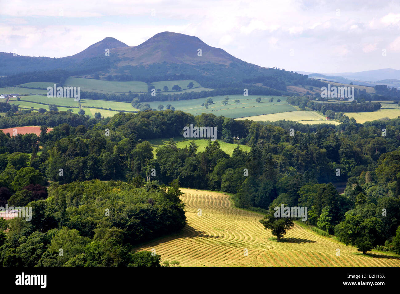 Scott's view in Scotland Stock Photo - Alamy