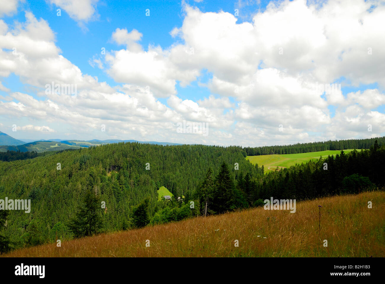 Along the high road from Triberg to Freiburg Stock Photo - Alamy