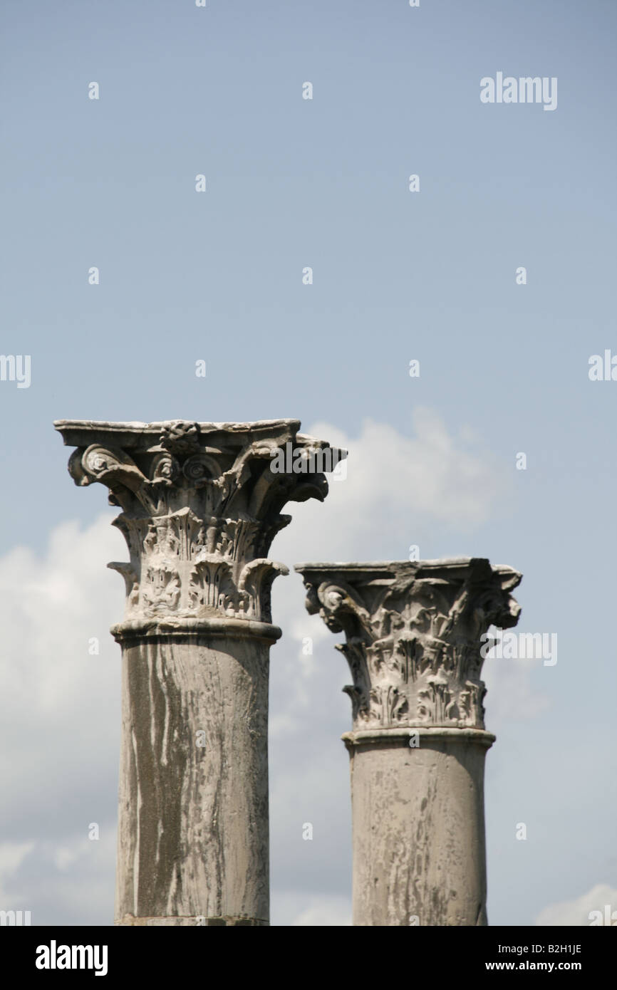 two roman columns on the palatine hill, rome Stock Photo - Alamy