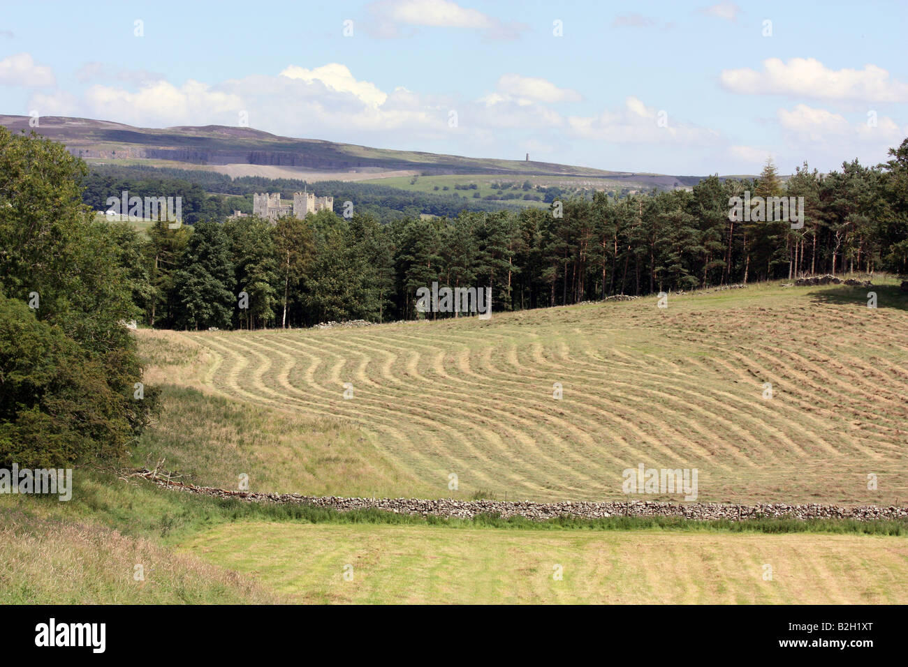 Walk through fields from Bolton Castle to Carperby, Upper Wensleydale ...