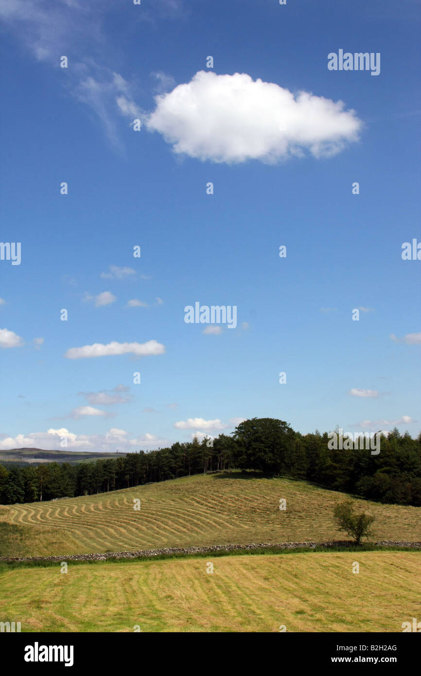 Walk through fields from Bolton Castle to Carperby, Upper Wensleydale ...