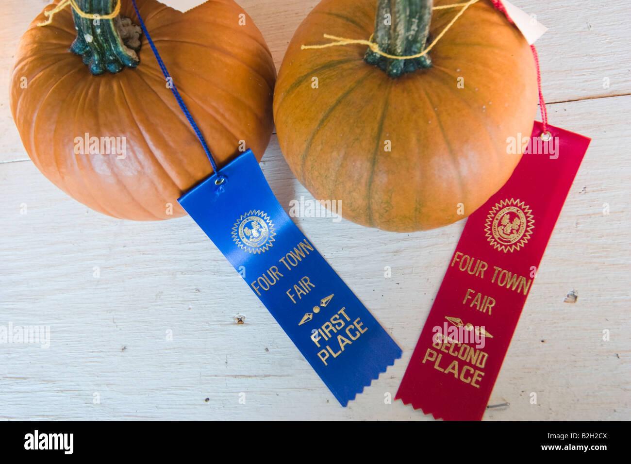 Pumpkins with first and second place award ribbons attached to them ...