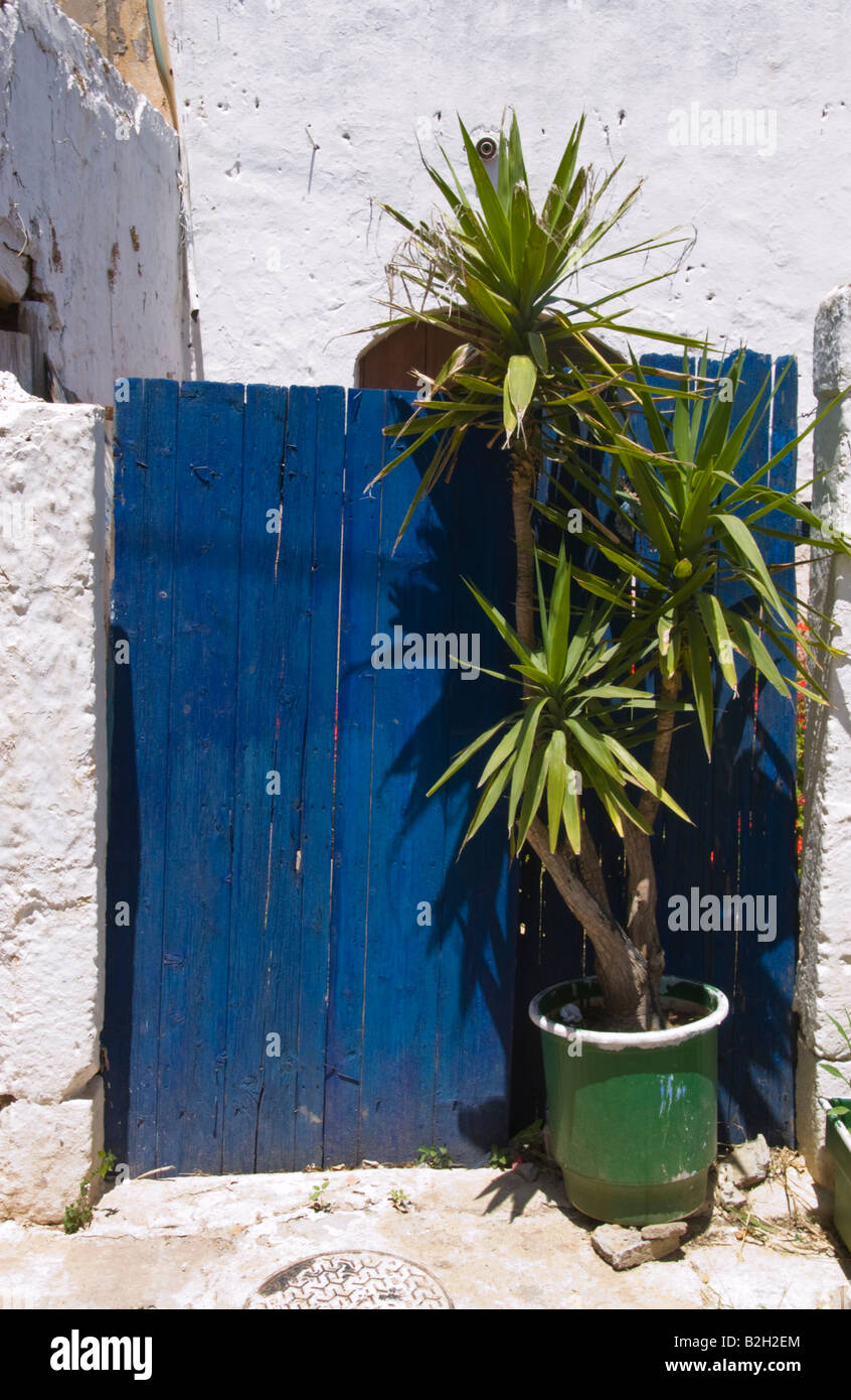 Greek pot plant hi-res stock photography and images - Alamy