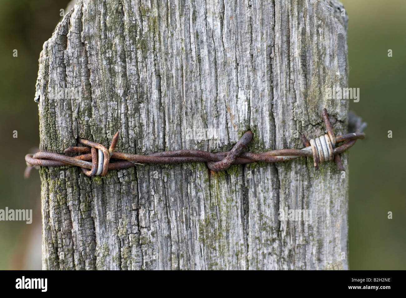 Rotten Wooden Fence Post High Resolution Stock Photography and Images ...