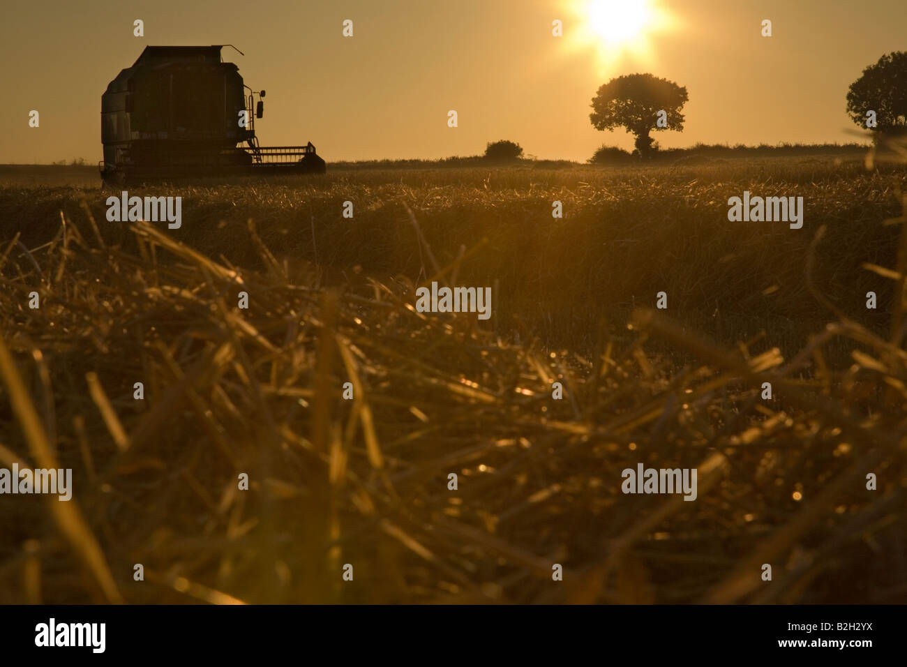 A Combine harvester harvesting Barley Stock Photo - Alamy
