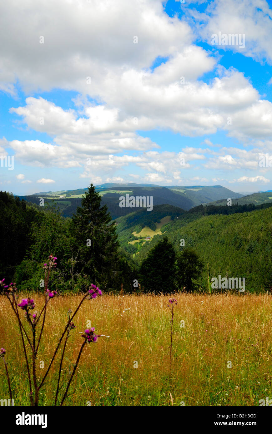 Along the high road from Triberg to Freiburg Stock Photo - Alamy