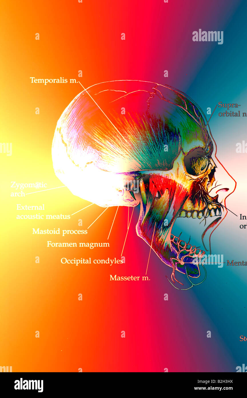 Human view hi-res stock photography and images - Alamy