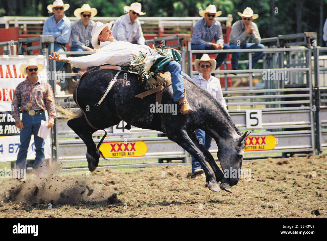 Horse rearing cowboy hi-res stock photography and images - Alamy