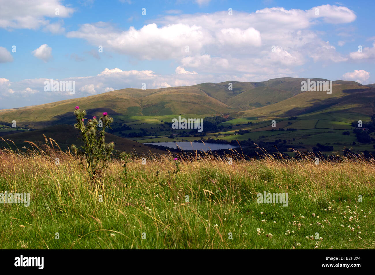 Overwater lake district hi-res stock photography and images - Alamy