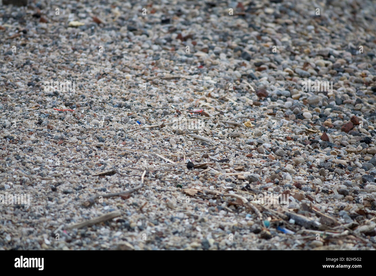 stones and crushed shells along the East River, New York City Stock ...