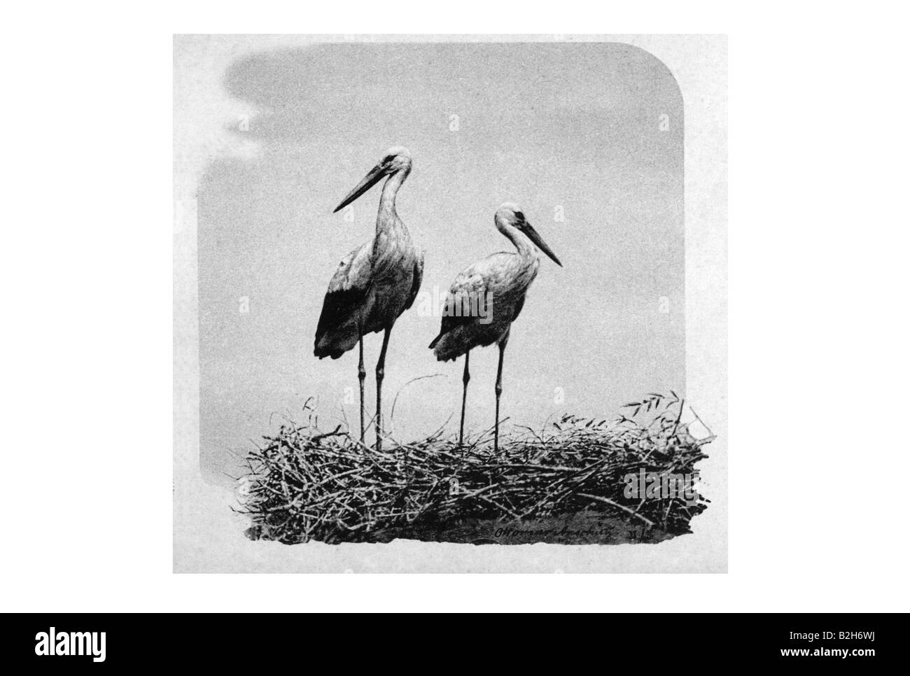 Motive Cut Out Stock Images & Pictures - Alamy