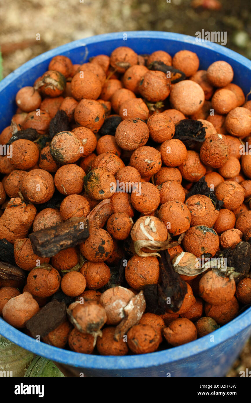Expanded clay pebbles are commonly used in gardening Stock Photo - Alamy