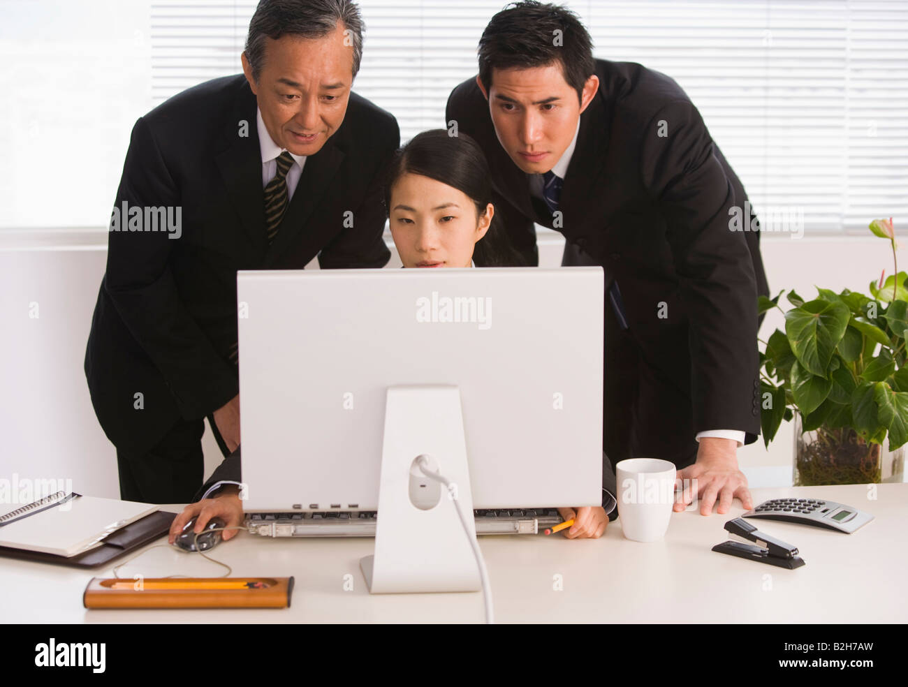 Three business executives looking at a computer monitor Stock Photo - Alamy