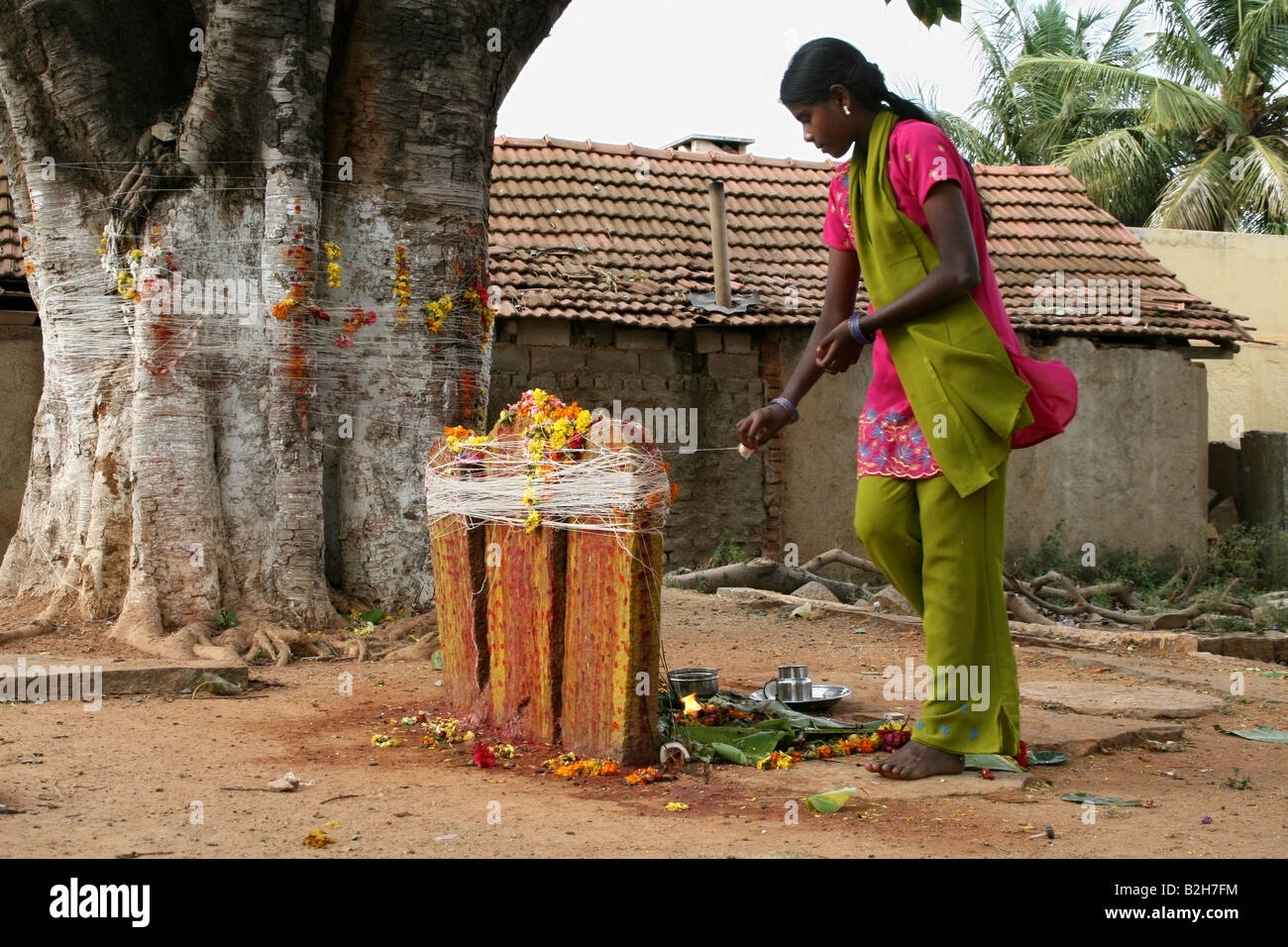 Hindu woman ties thread around a small shrine near a peepal tree as a ...