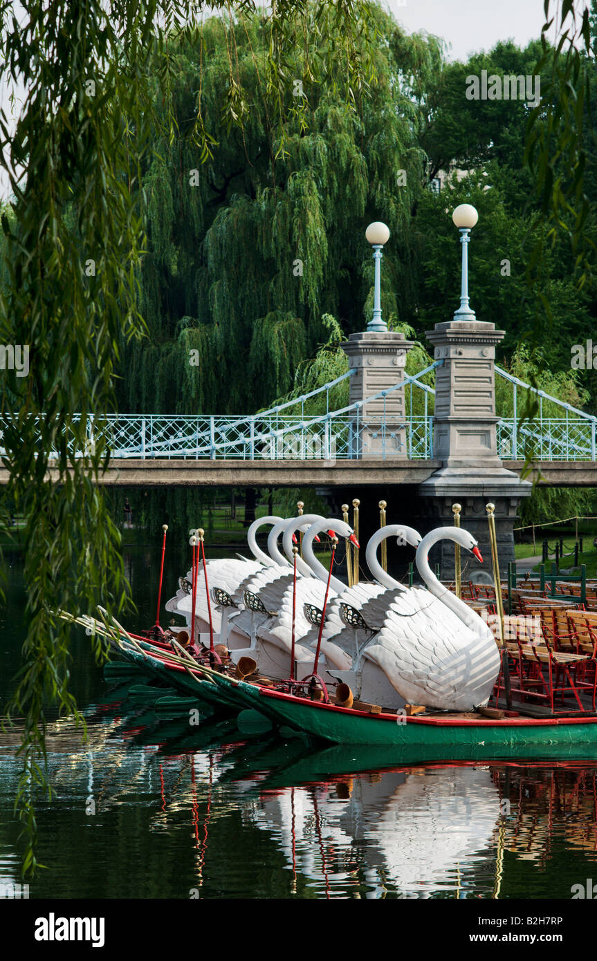 Usa famous swan boats hi-res stock photography and images - Alamy
