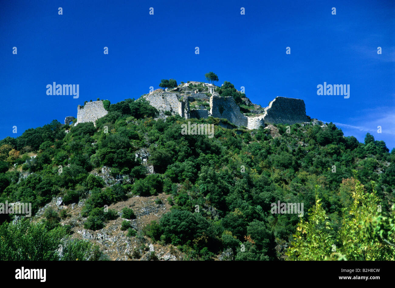 The Termes High Resolution Stock Photography and Images - Alamy