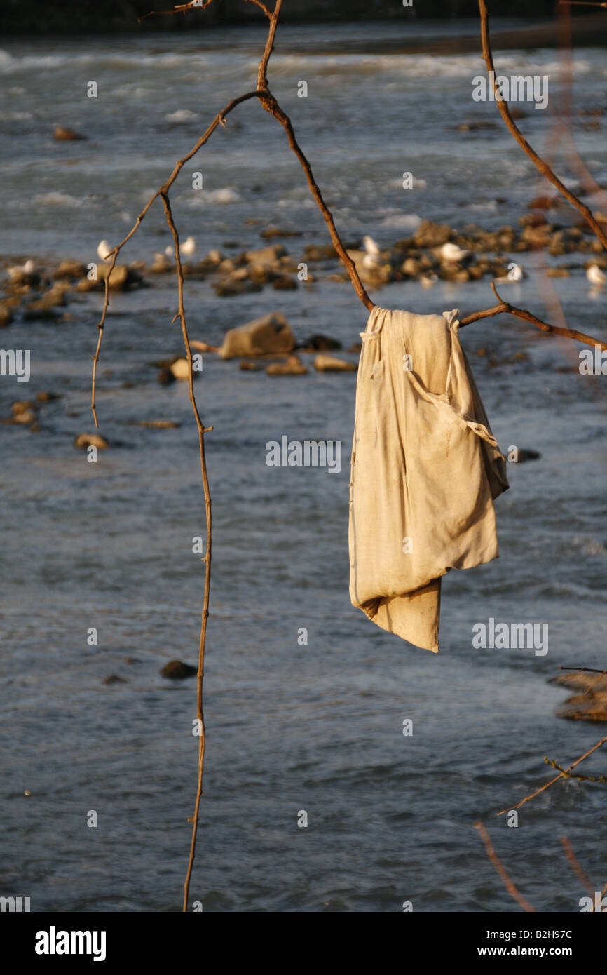 one dirty white blanket stuck in tree branches Stock Photo - Alamy