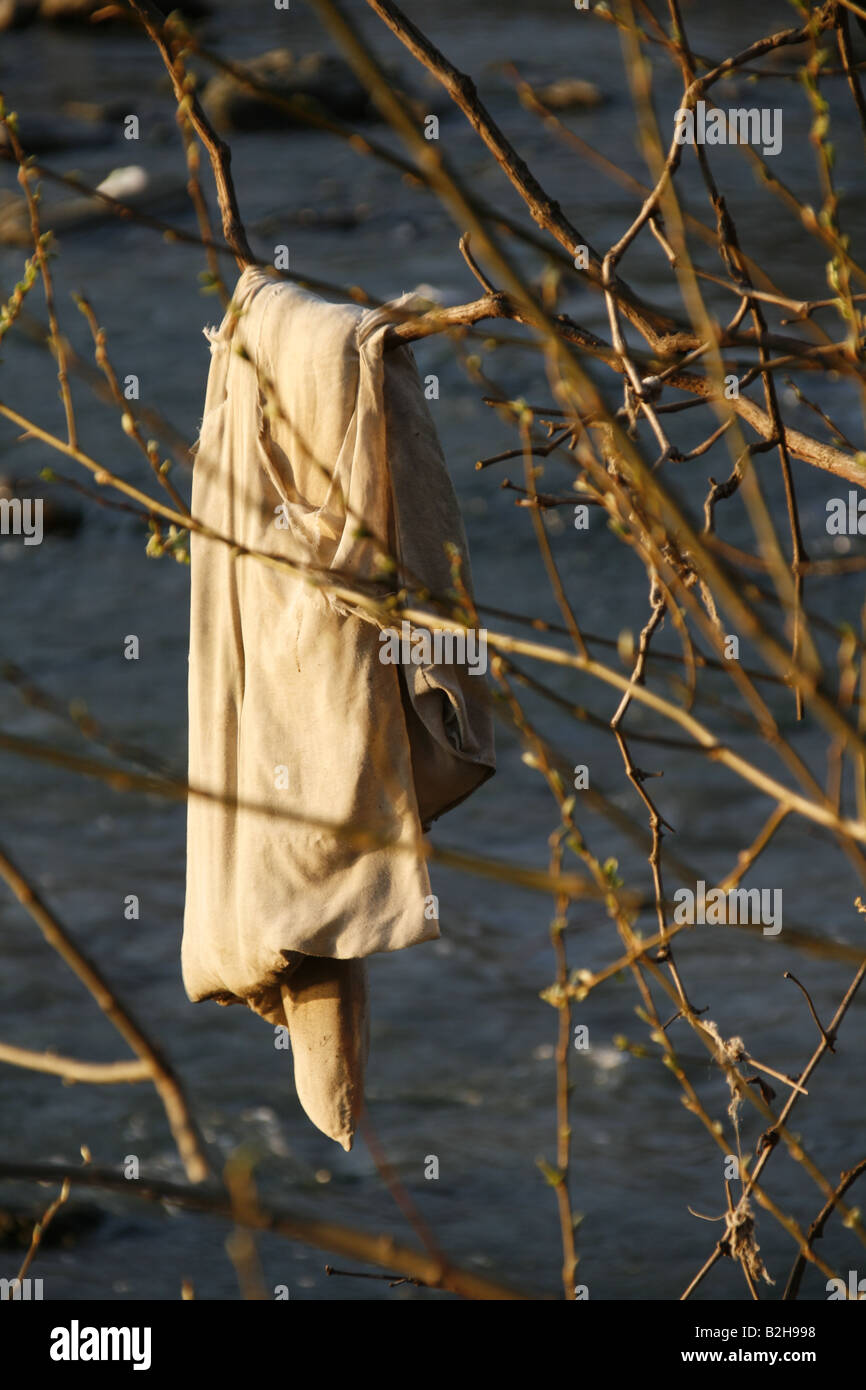 one dirty white blanket stuck in tree branches Stock Photo - Alamy