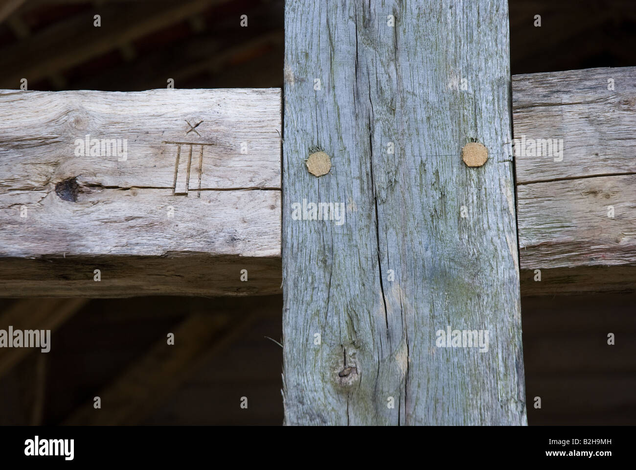 Modern green oak joinery showing carpenters marks Stock Photo - Alamy