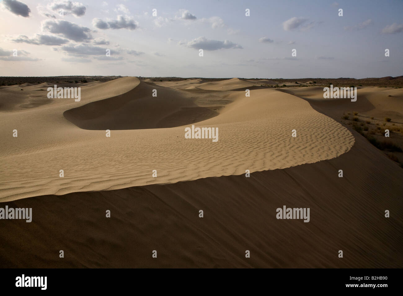 SAND DUNES form in the THAR DESERT near JAISALMER RAJASTHAN INDIA Stock ...