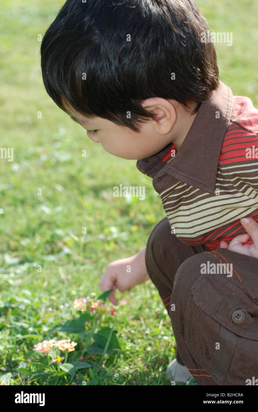 Toddler picking flowers in field Stock Photo - Alamy