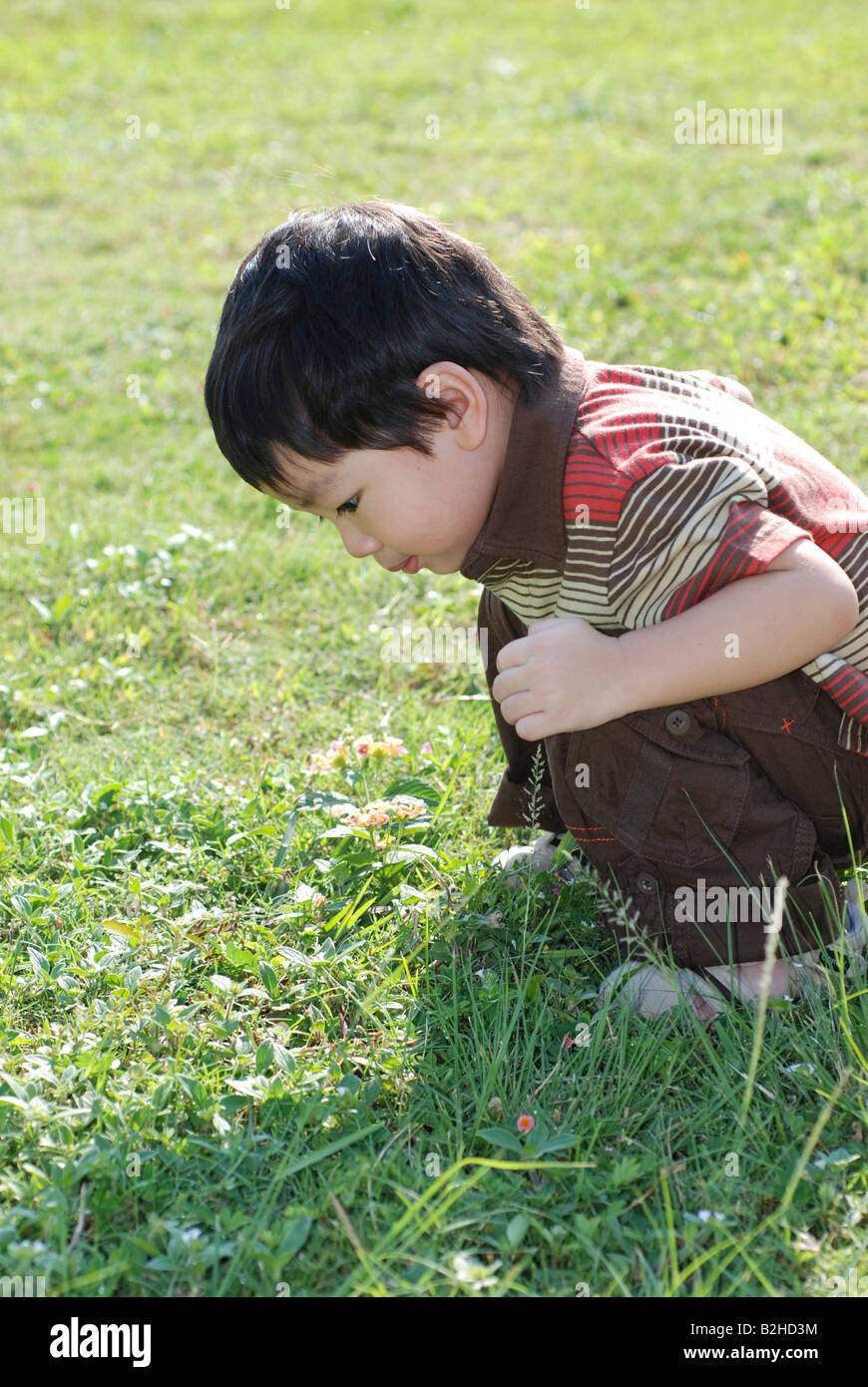 Toddler crouching looking at grass Stock Photo - Alamy