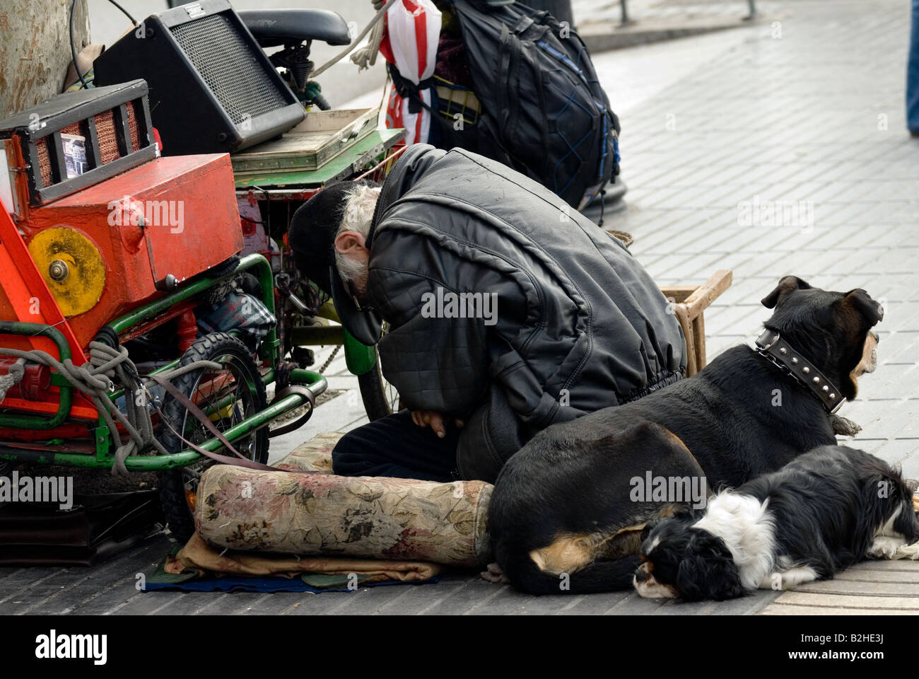 Tramp And Dog High Resolution Stock Photography and Images - Alamy
