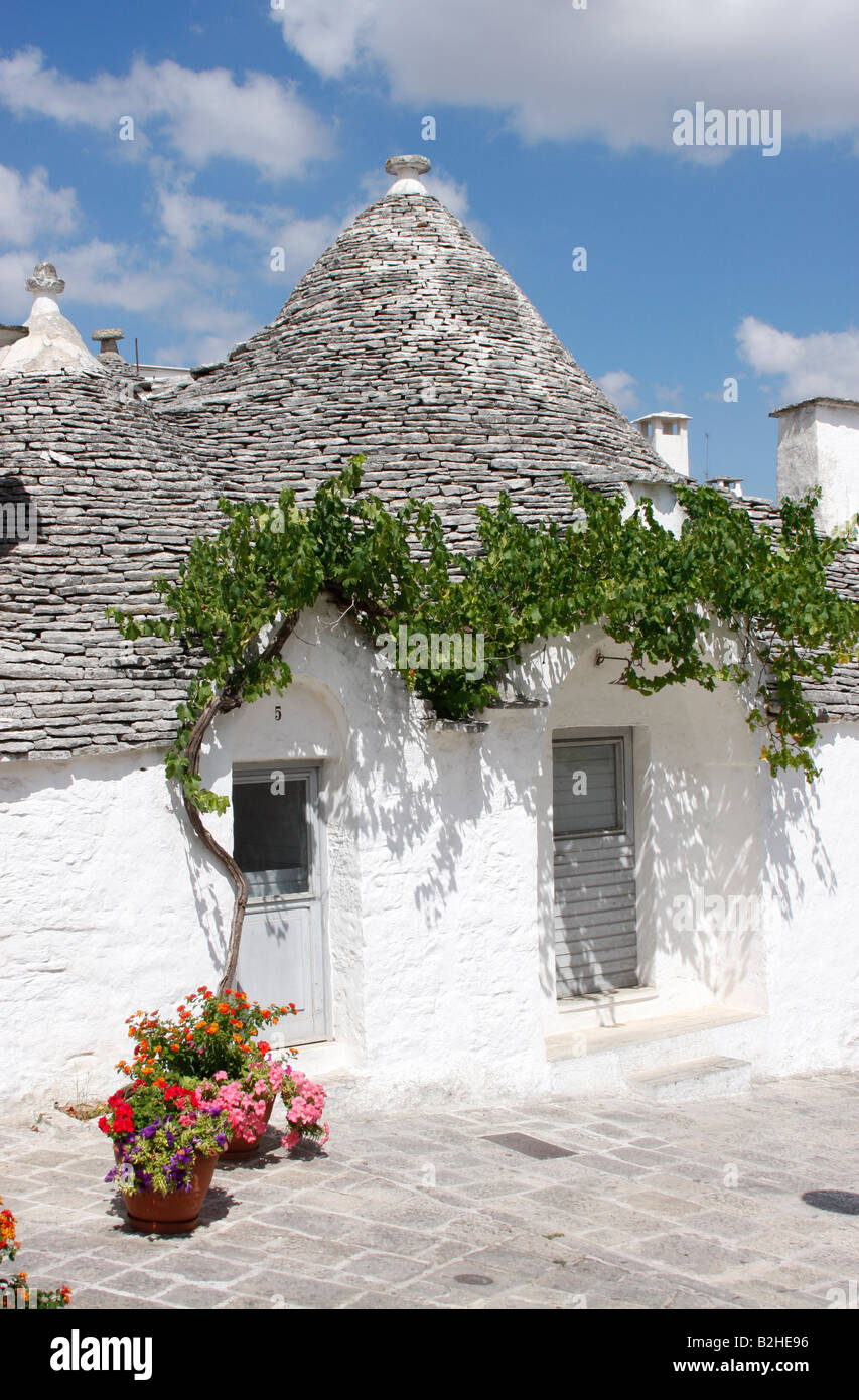 Trulli house with vine growing over the door at Alberobello,Puglia ...