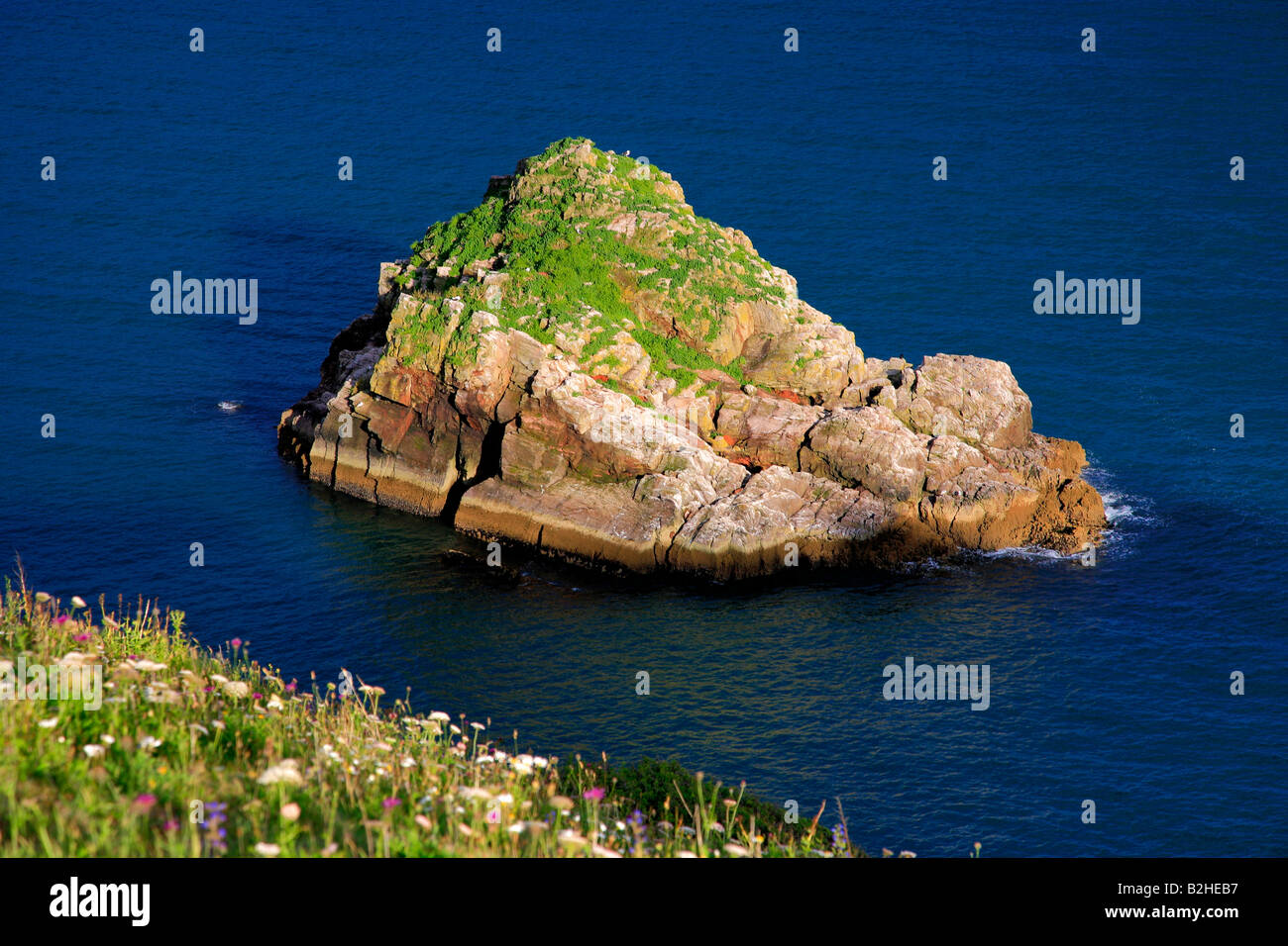 Devon crest hi-res stock photography and images - Alamy