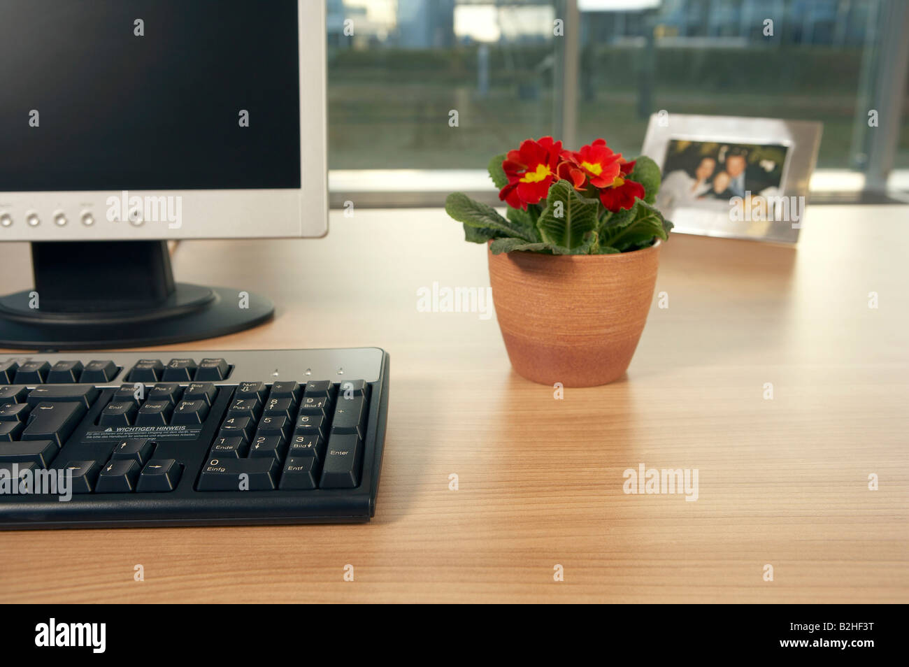 still life of potted plant on desk near computer Stock Photo - Alamy