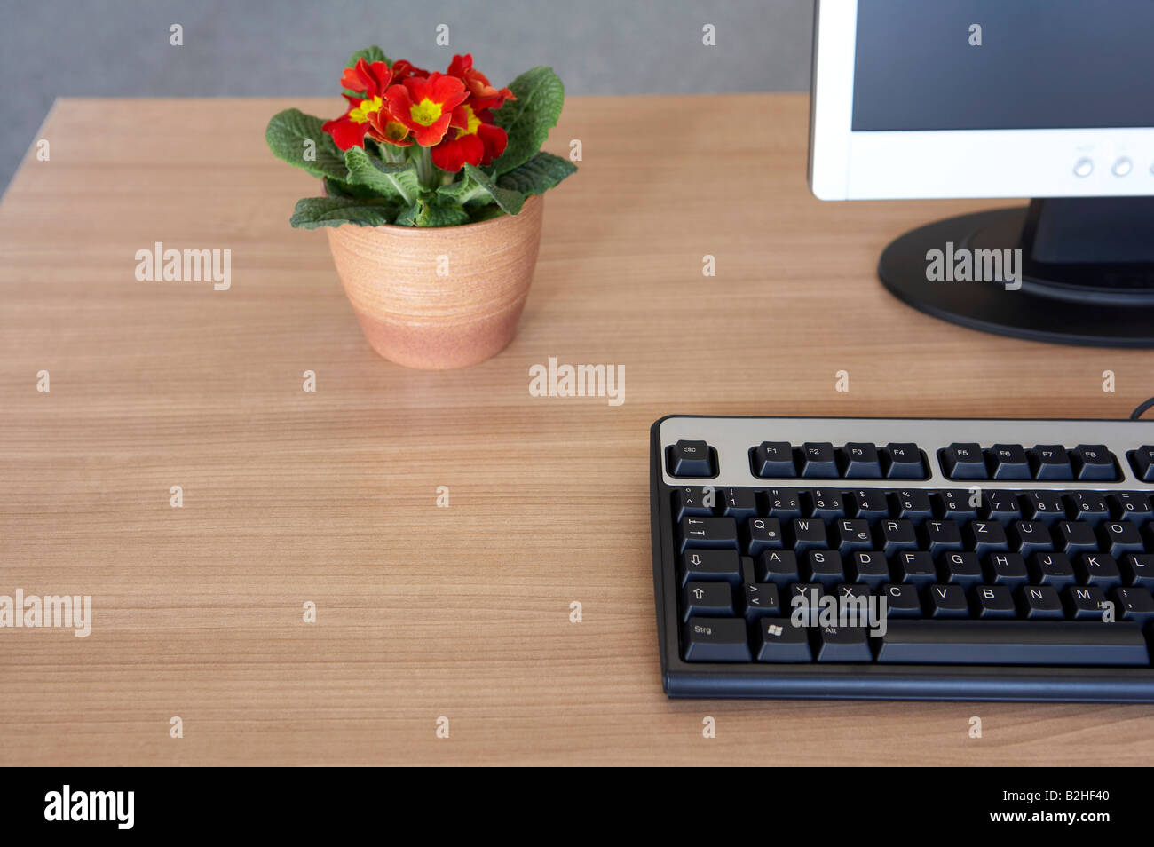 still life of potted plant on desk near computer Stock Photo - Alamy