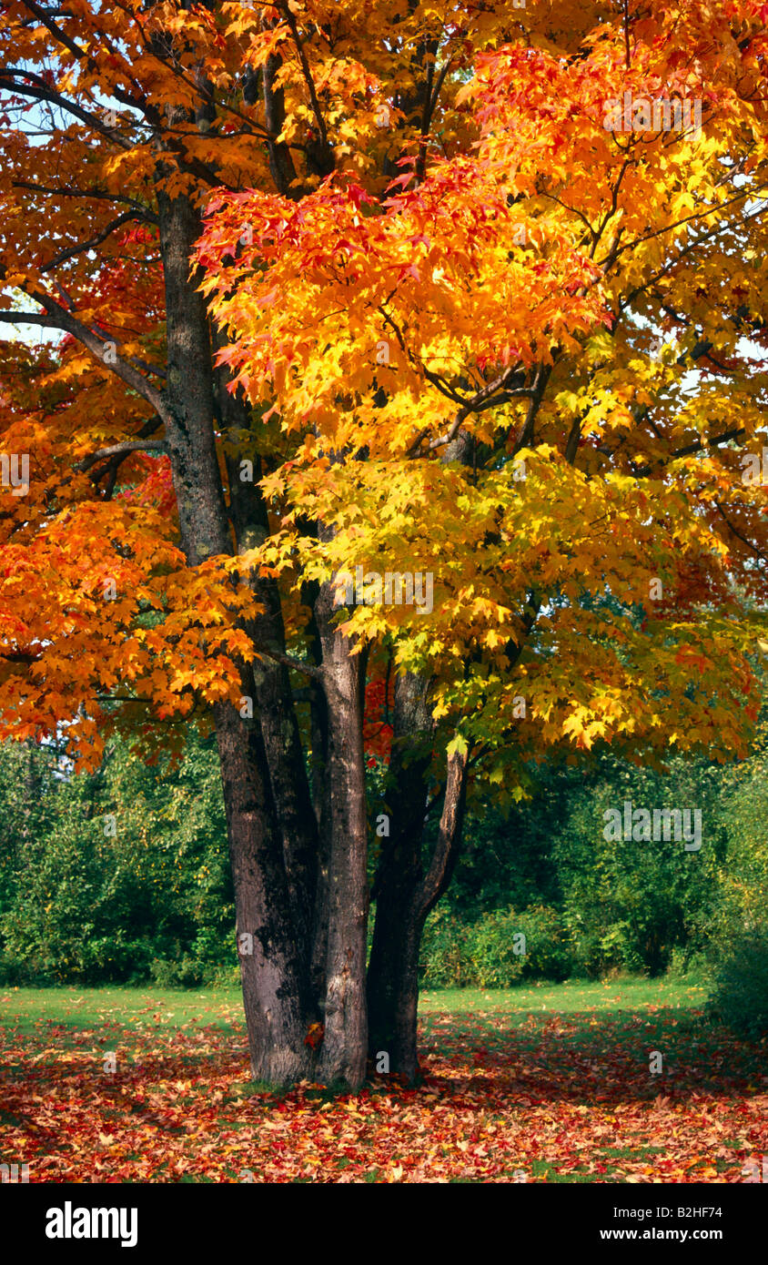 Flaggensymbol hi-res stock photography and images - Alamy