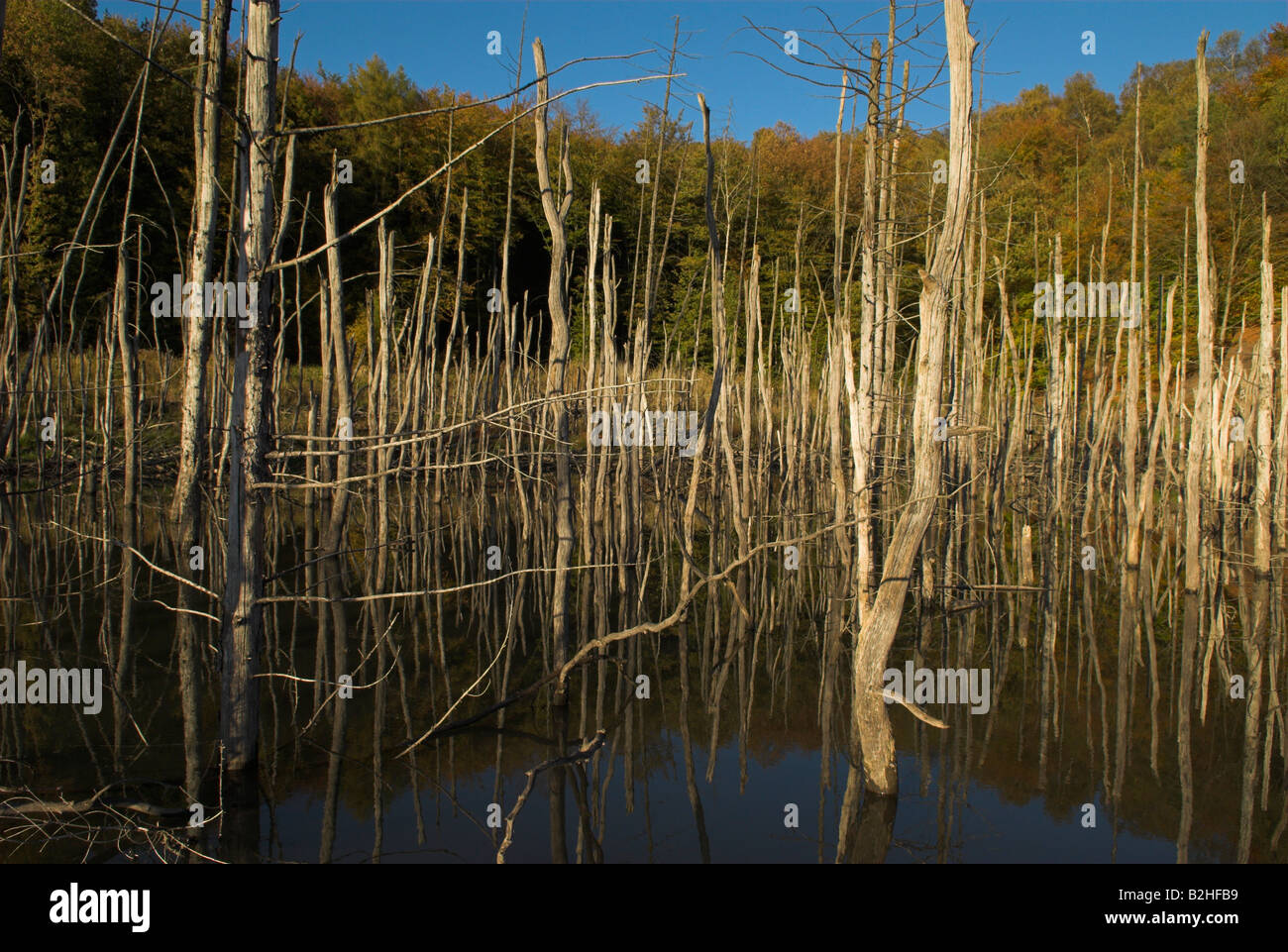 Coal waste hi-res stock photography and images - Alamy