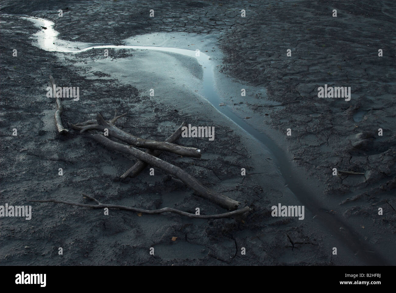 landscape scenery tideway tidal inlet water Stock Photo - Alamy