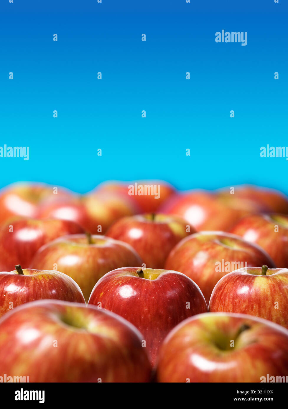 Red apples under blue sky Stock Photo - Alamy