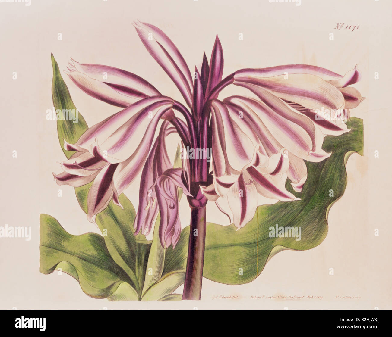 Steel flowers hi-res stock photography and images - Alamy