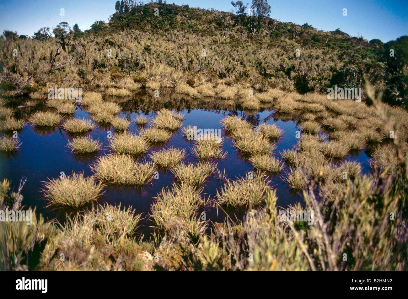 geography / travel, Costa Rica, landscapes, Cartago, Cordillera de ...