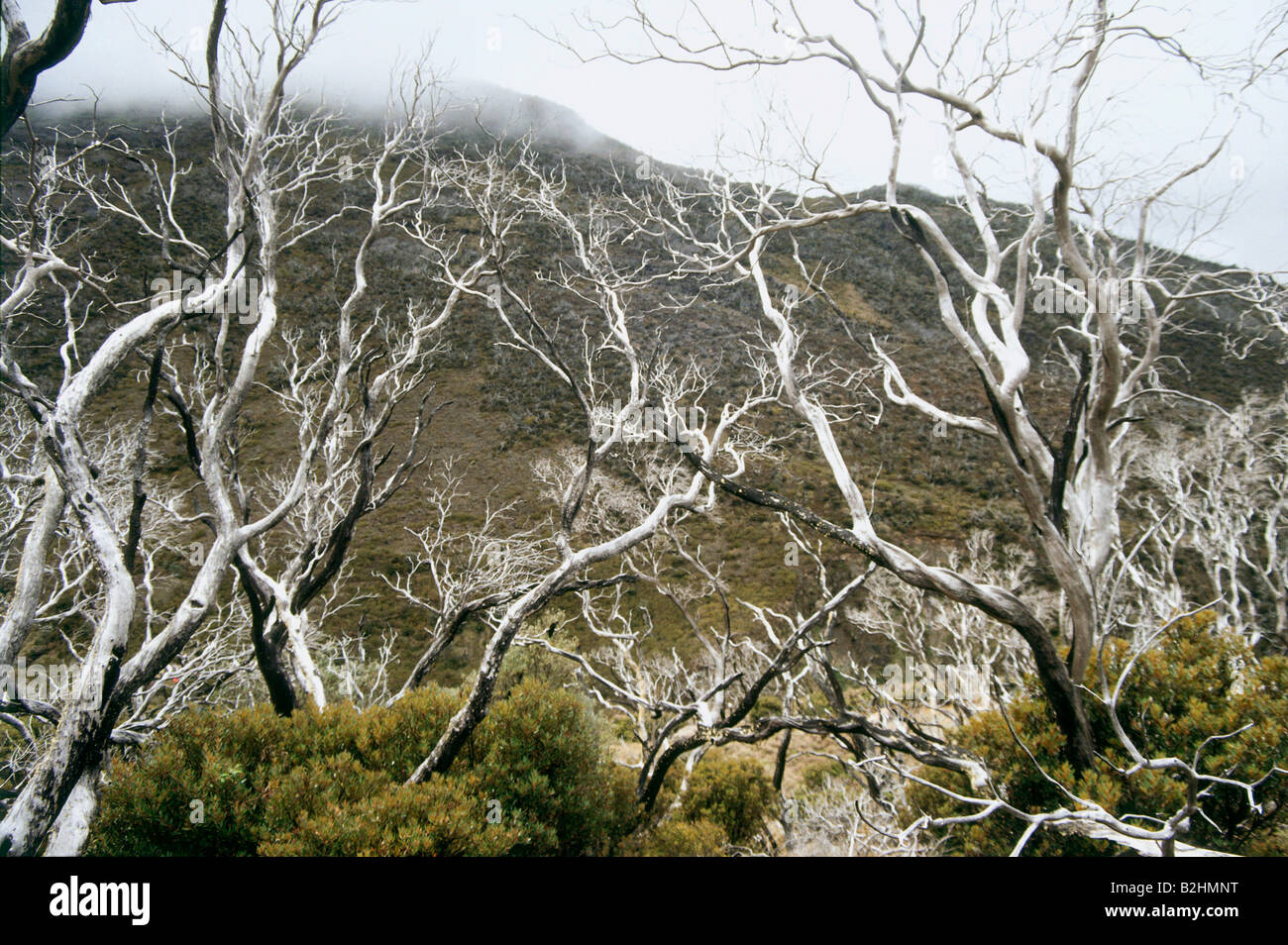 After fire from 1976 hi-res stock photography and images - Alamy