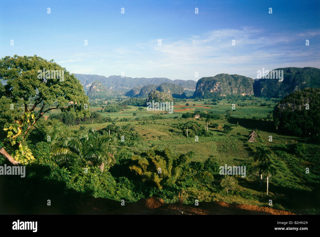 geography / travel, Cuba, Vinales, tropical landscape, Central America ...
