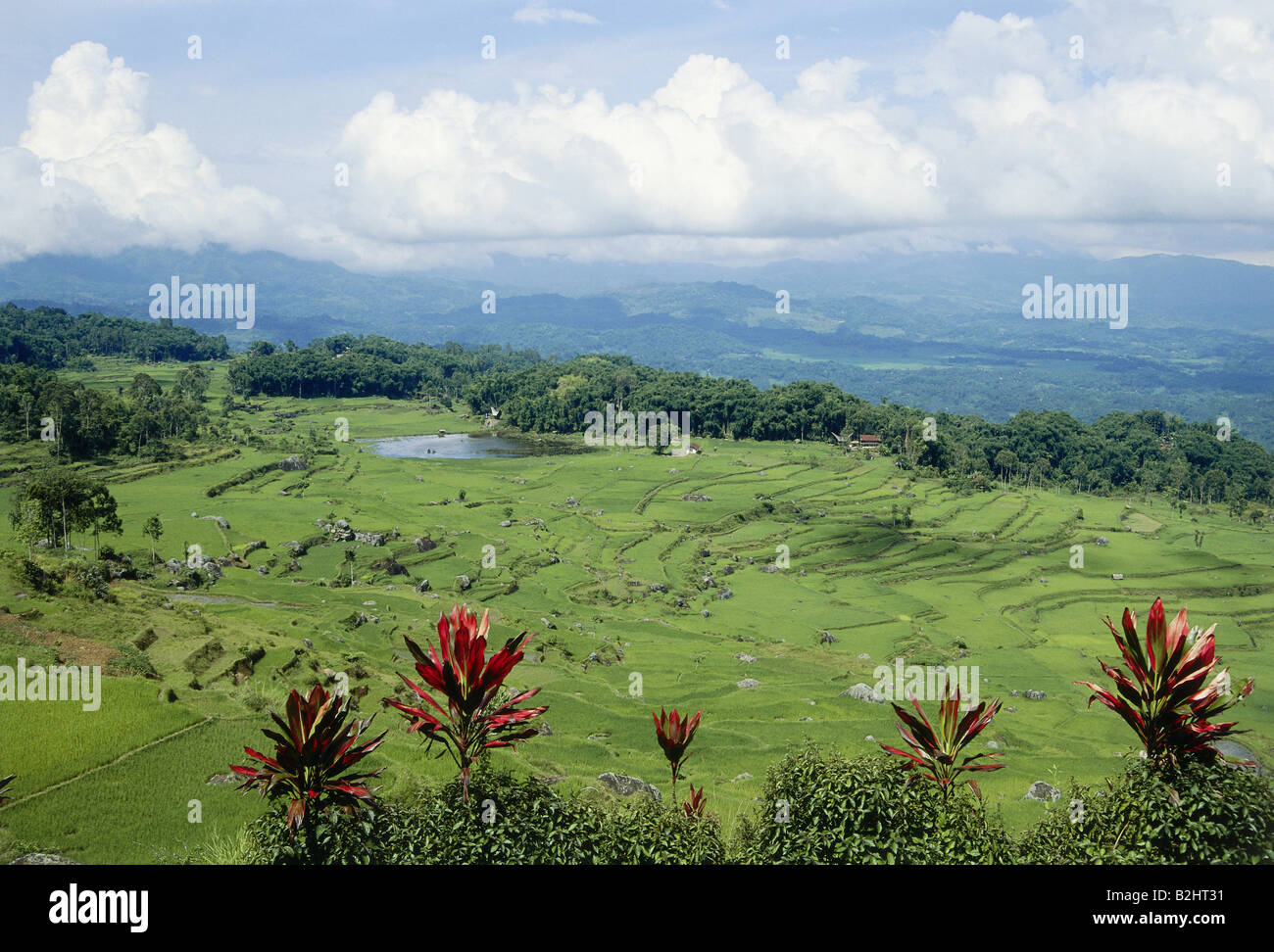 Toraja country hi-res stock photography and images - Alamy