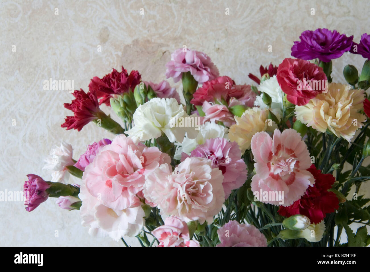 Bunch of carnations Stock Photo - Alamy